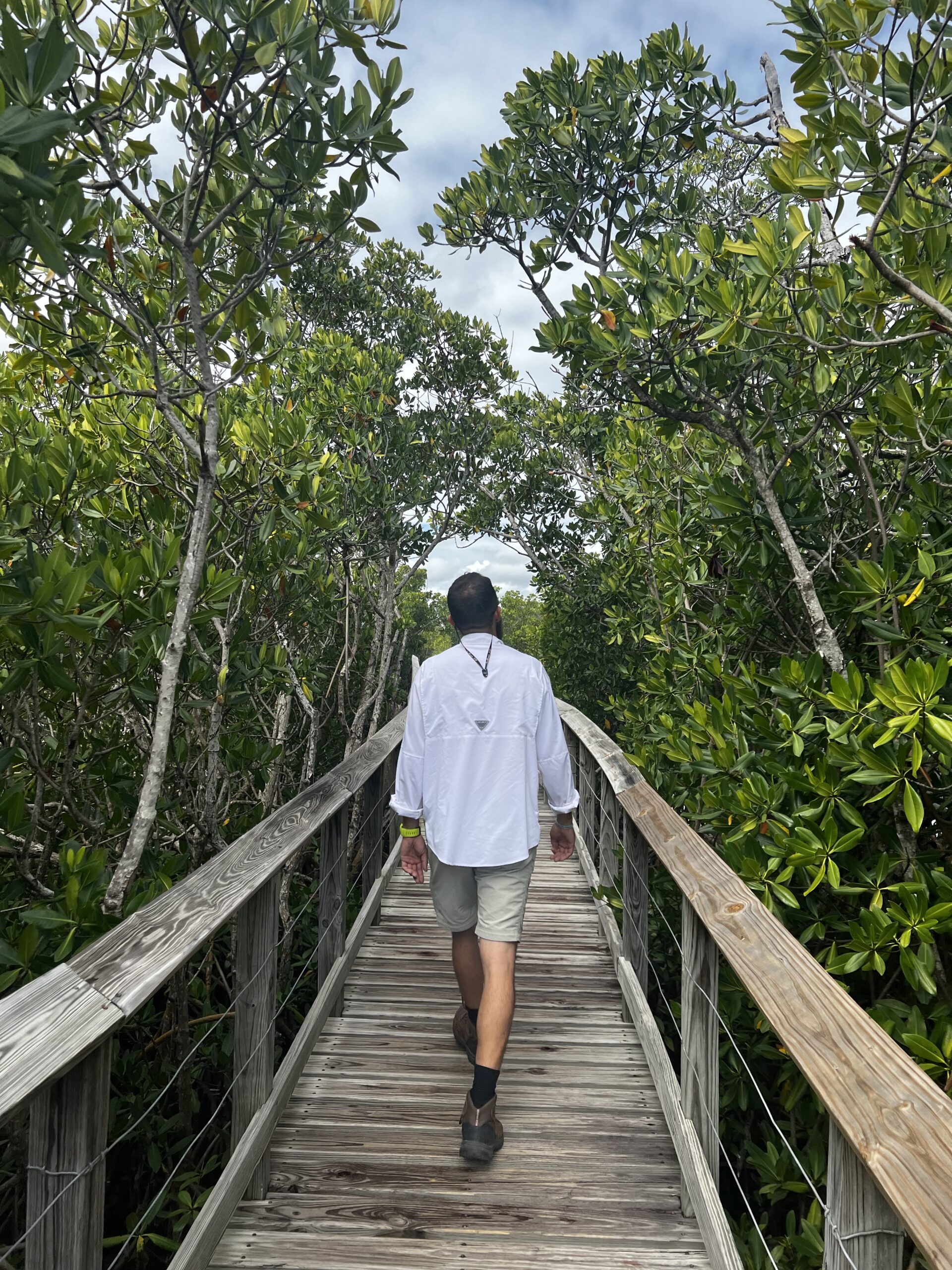 D94ED5D5-24E9-4F11-B6FD-1DD17CC1EDE7