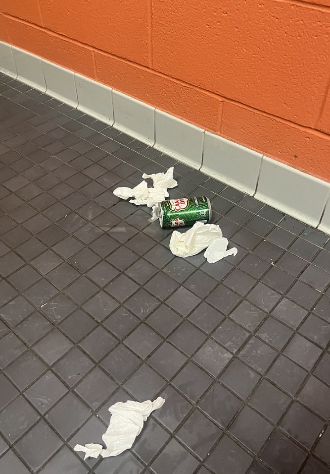 Reduce, Reuse, Recycle: The Constant Littering Problem at Malden High ...